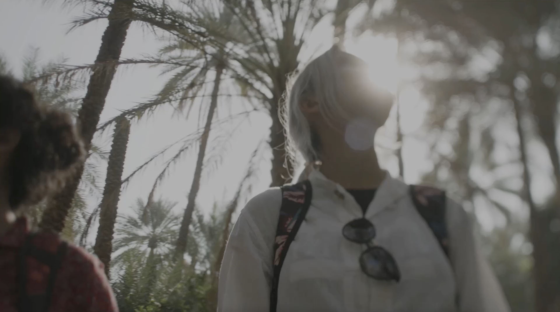 Oman Air | The New Wings of Oman